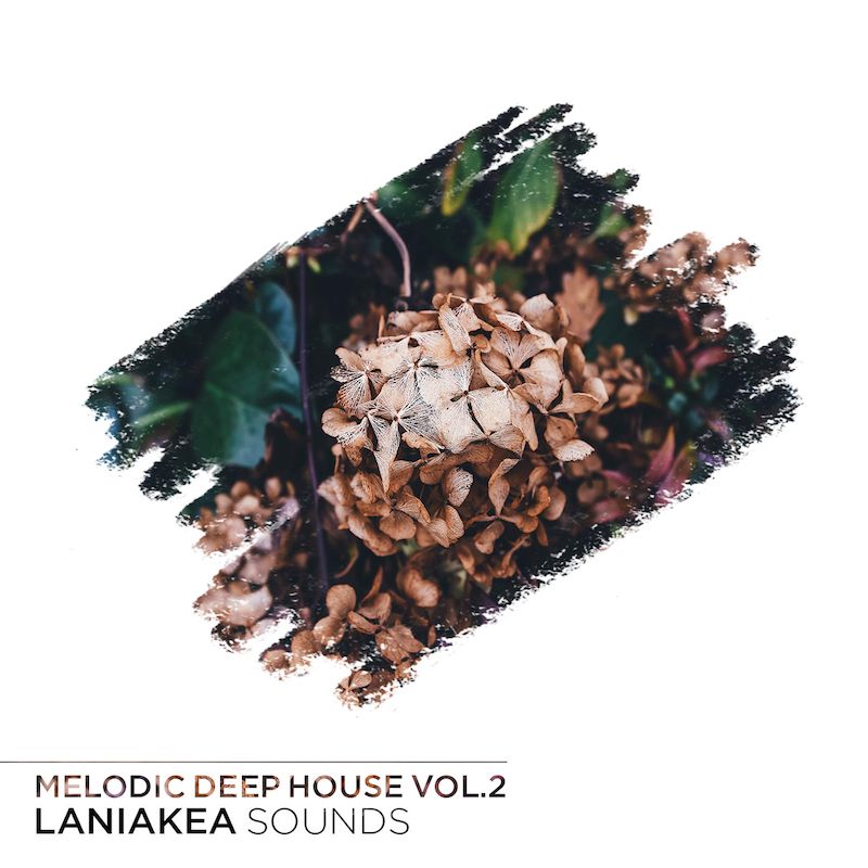 Melodic Deep House Vol. 2 Sample Pack | LANDR Samples