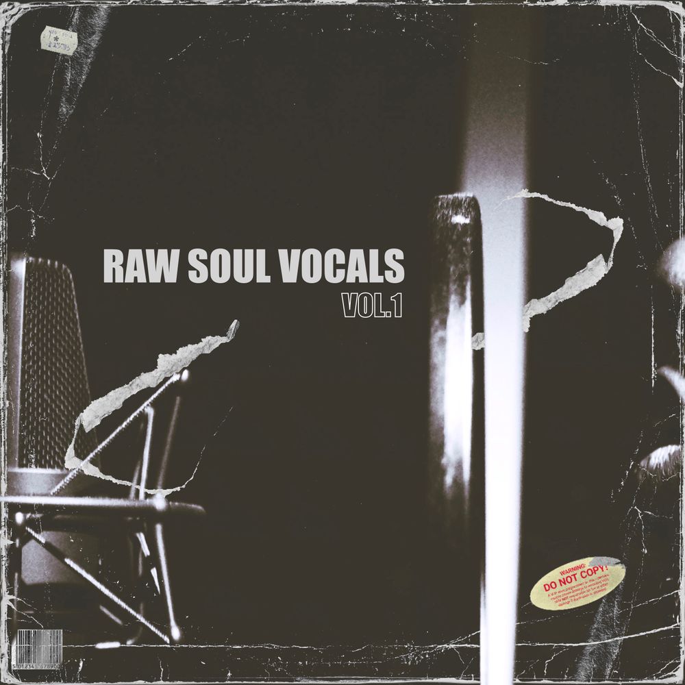 Raw Soul Vocals Vol.1 Sample Pack | LANDR Samples