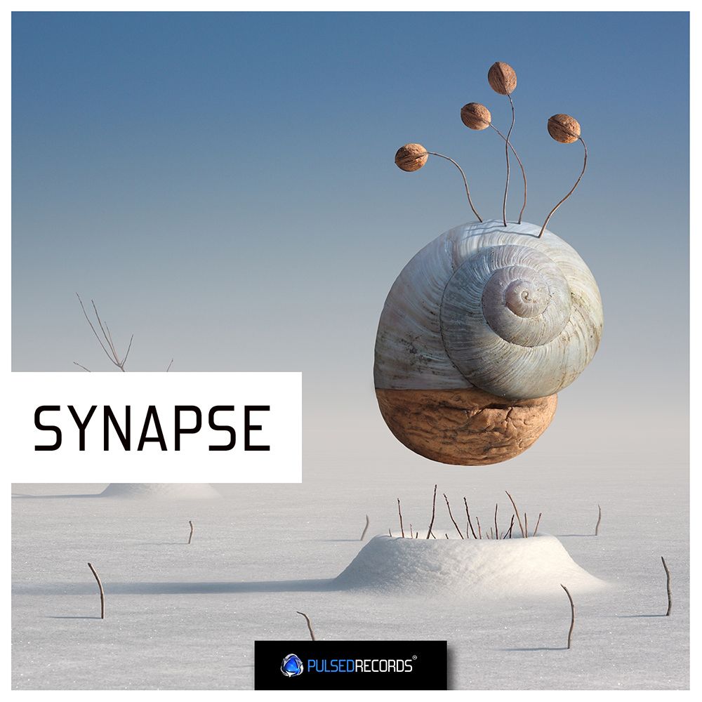 Synapse Sample Pack | LANDR Samples