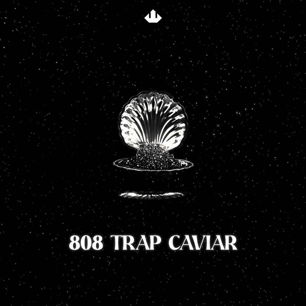 808 TRAP CAVIAR Sample Pack | LANDR