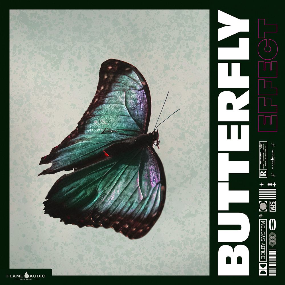 BUTTERFLY EFFECT Sample Pack | LANDR Samples