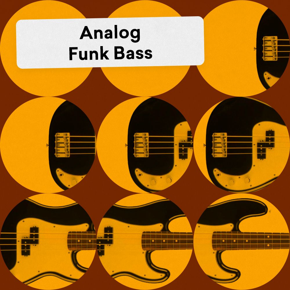 Analog Funk Bass Sample Pack Landr Samples