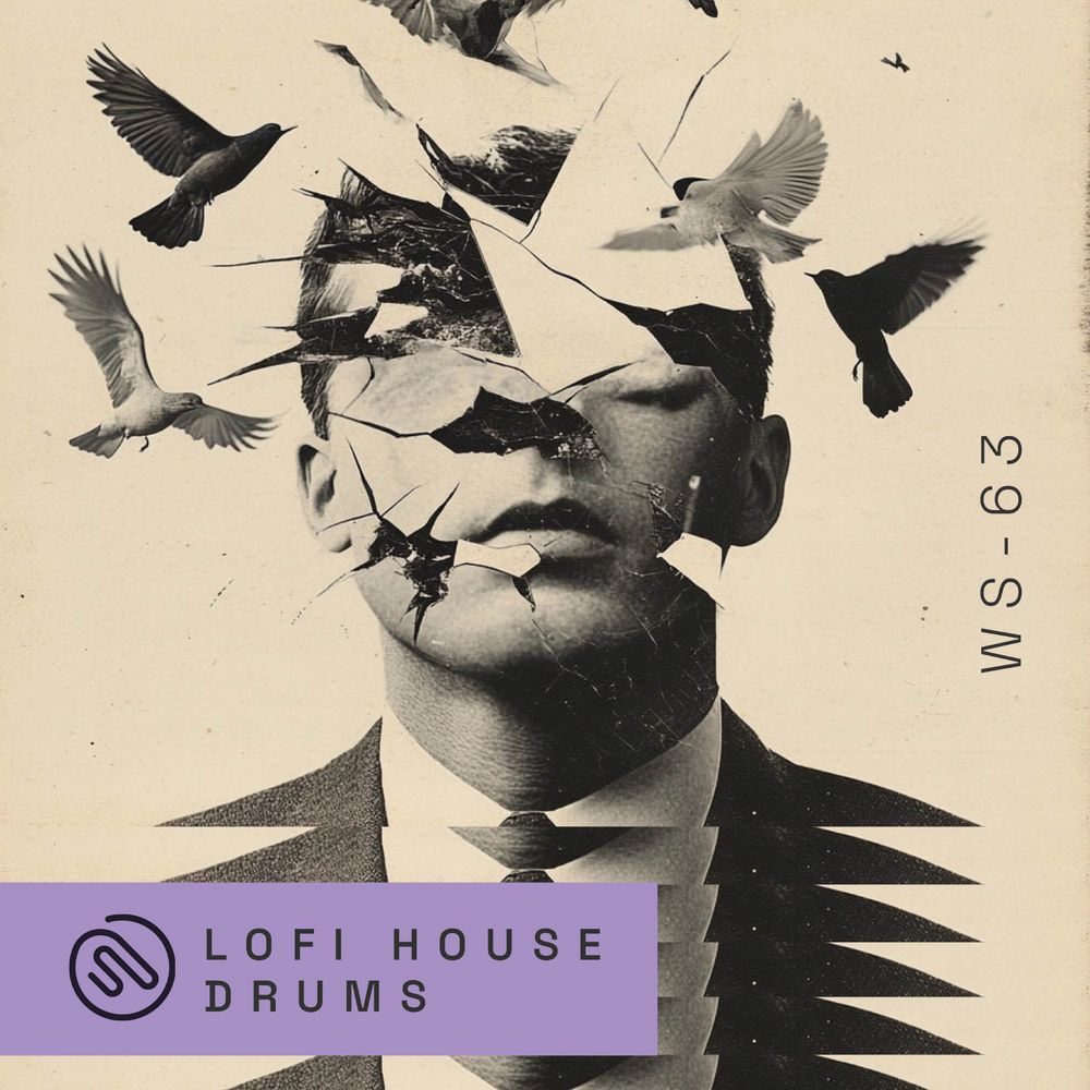 LoFi House Drums Sample Pack | LANDR Samples