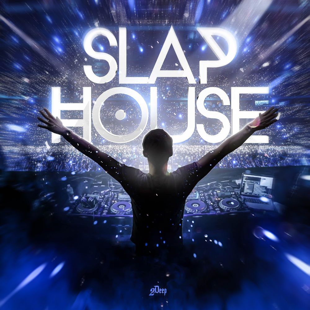 Slap House Sample Pack | LANDR Samples
