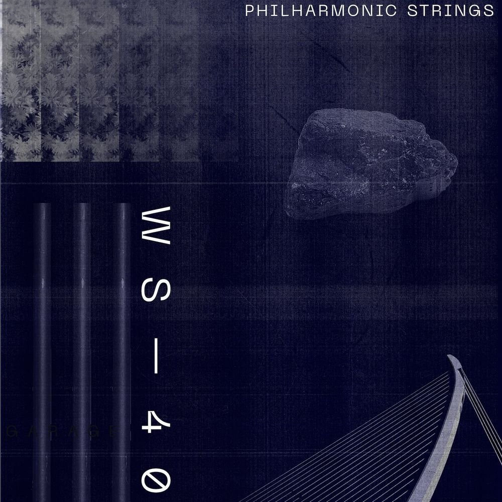 Philharmonic Strings Sample Pack | LANDR Samples