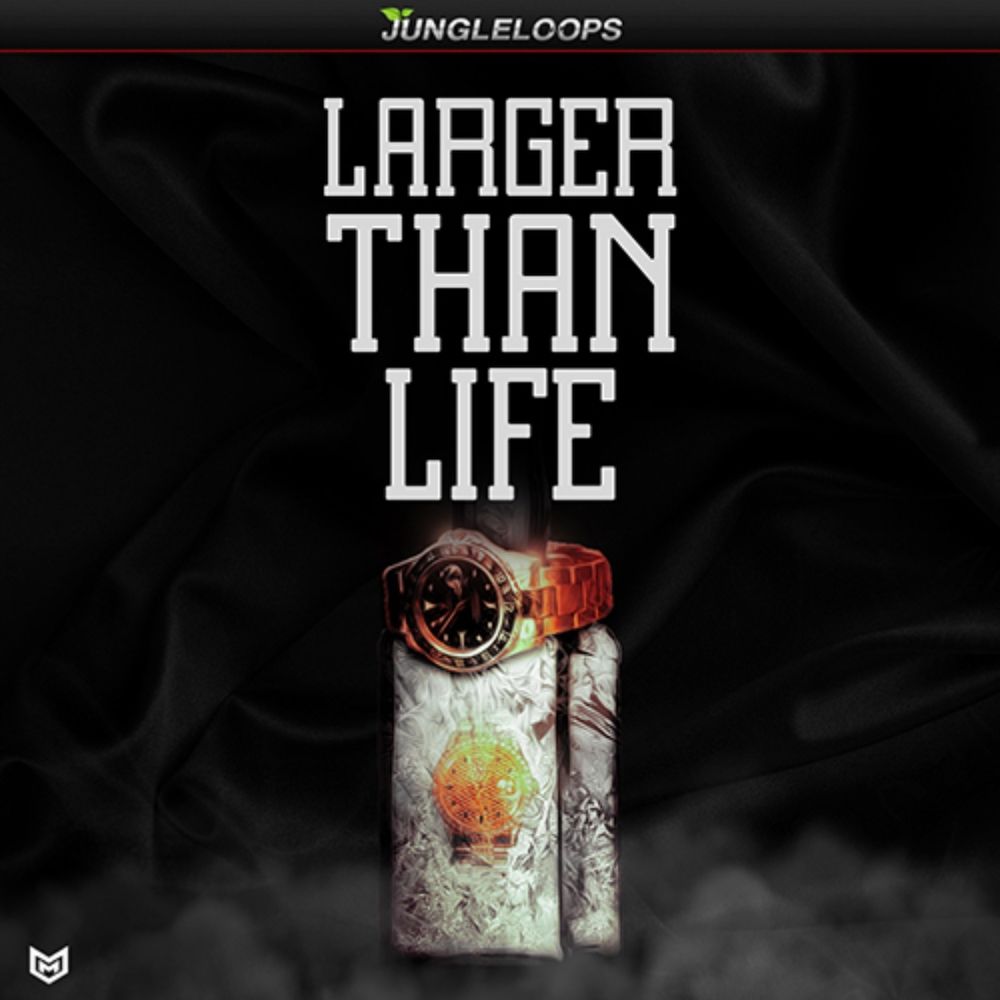 Larger Than Life Vol.1 Sample Pack | LANDR Samples