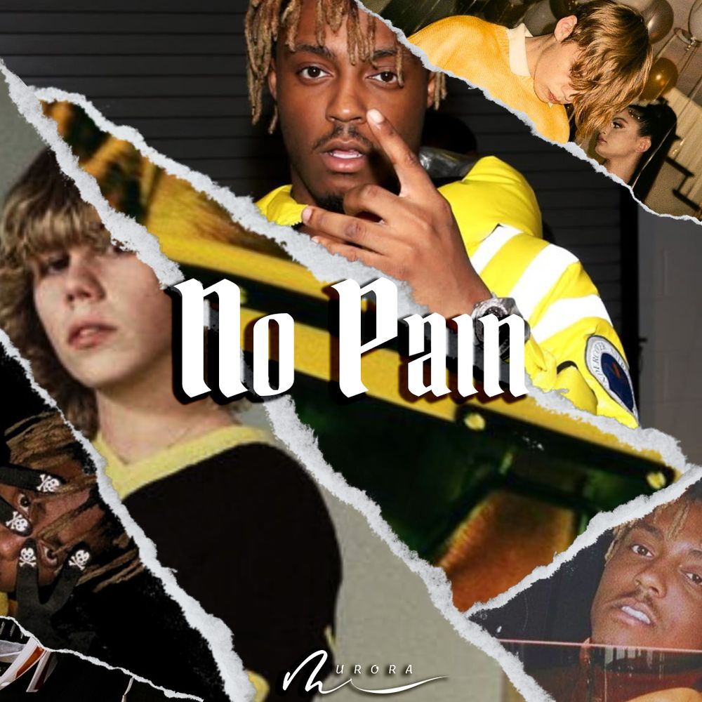 No Pain Sample Pack | LANDR Samples