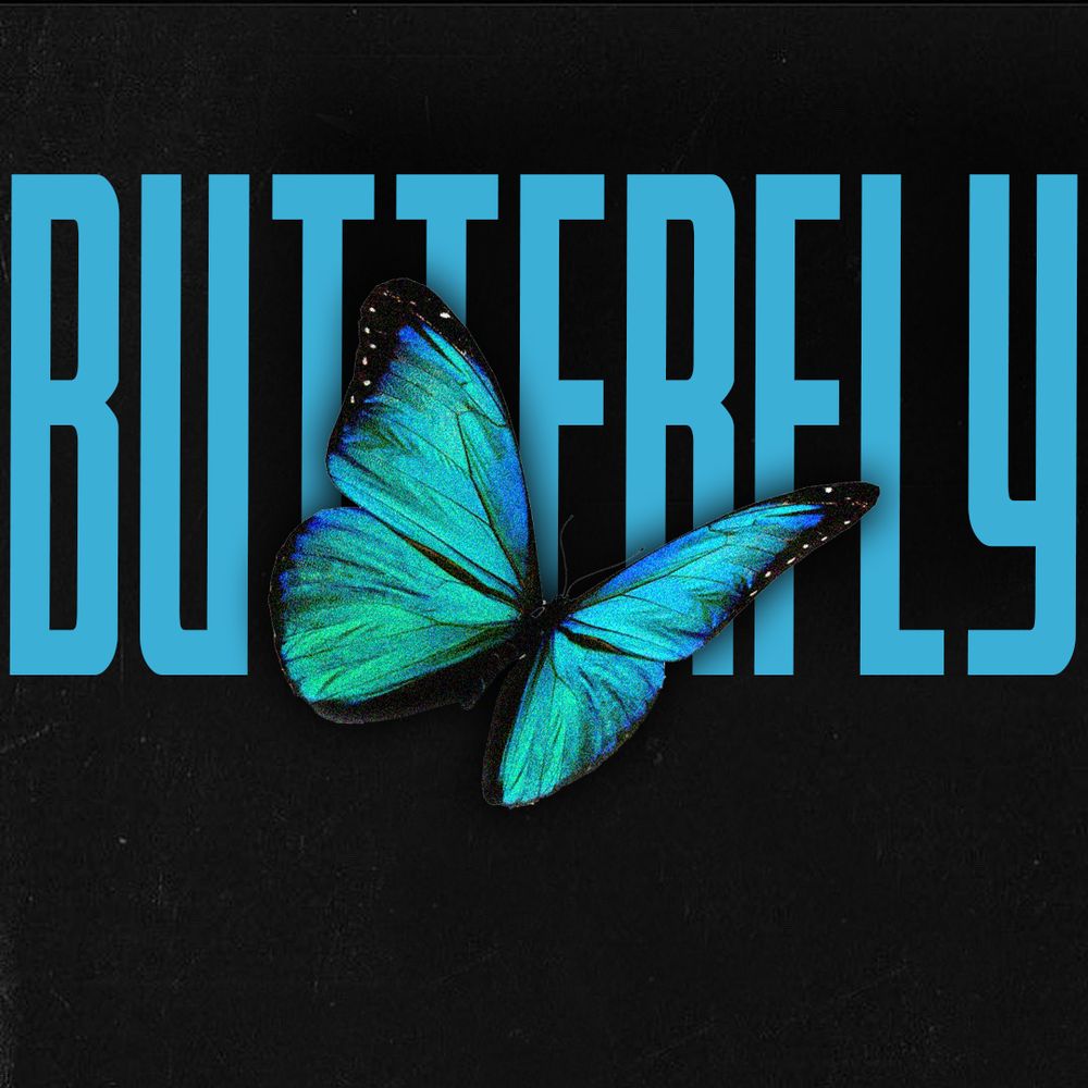 Butterfly Sample Pack | LANDR Samples