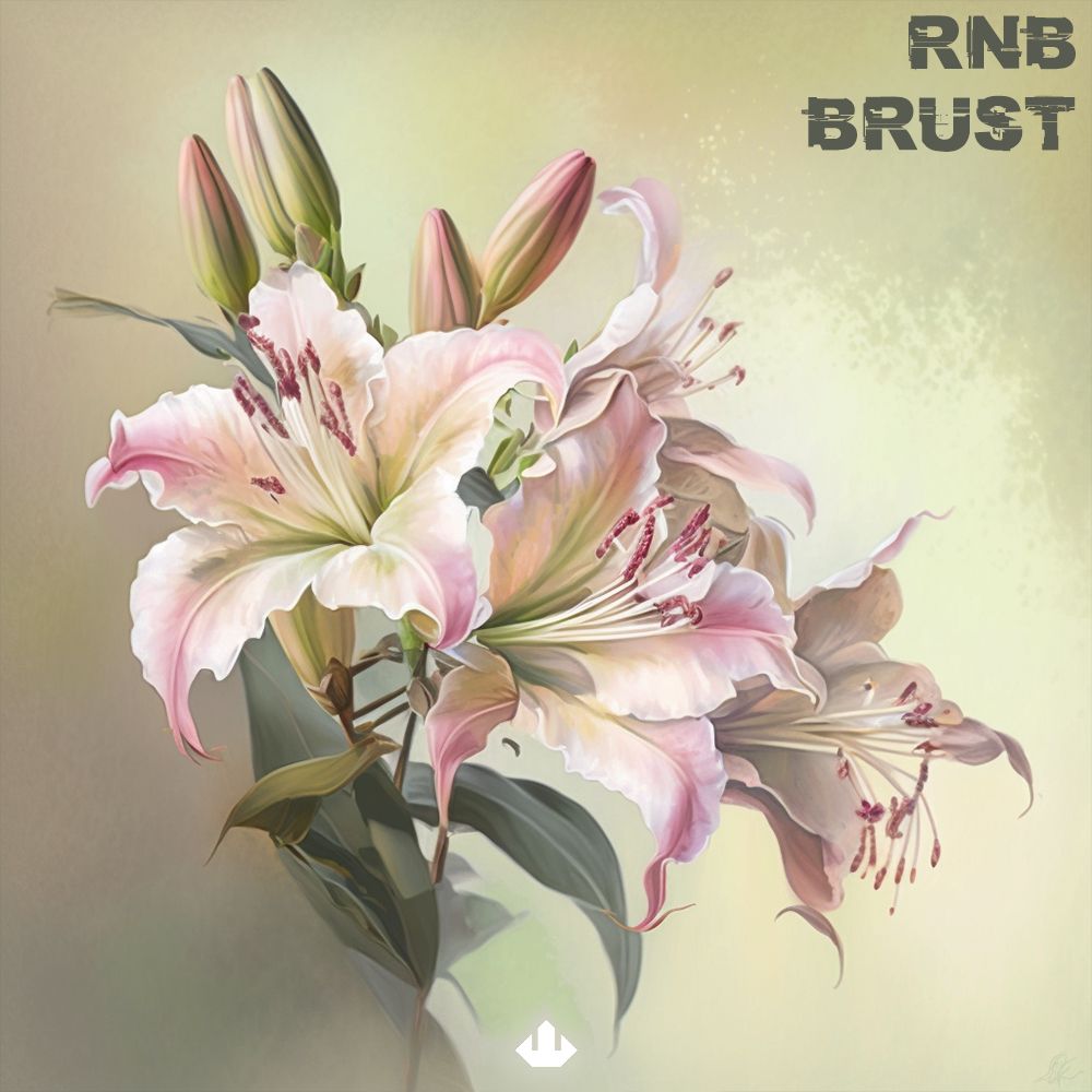 RNB BRUST Sample Pack | LANDR Samples