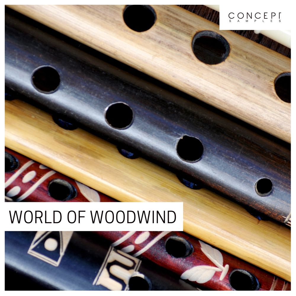 World Of Woodwind Sample Pack | LANDR Samples