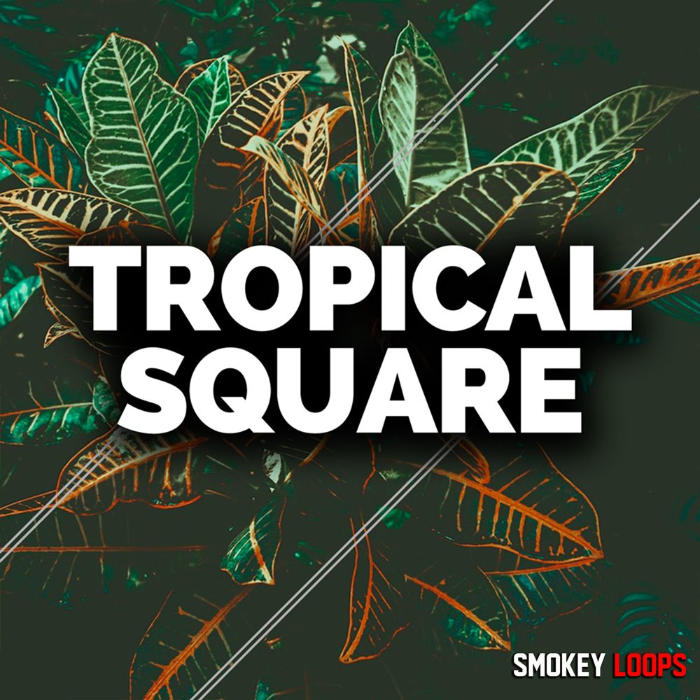 Tropical Square Sample Pack | LANDR Samples