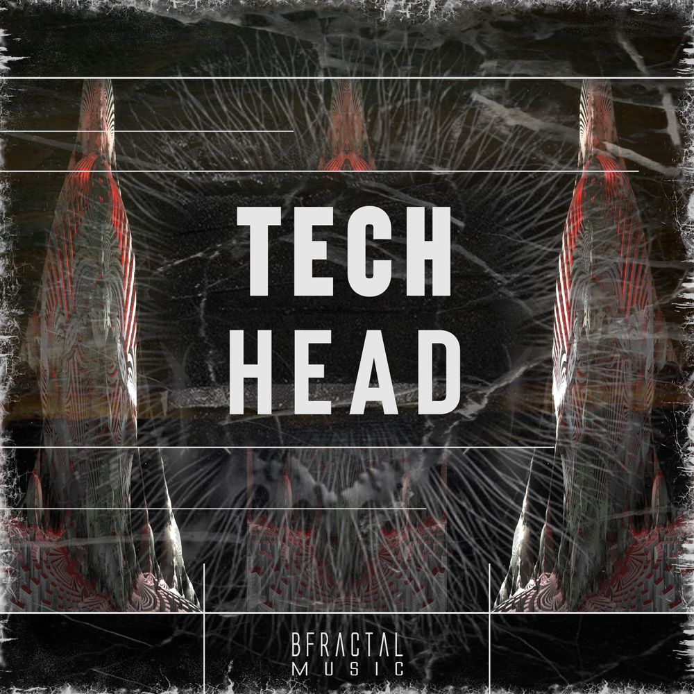 Tech Head Sample Pack | LANDR Samples