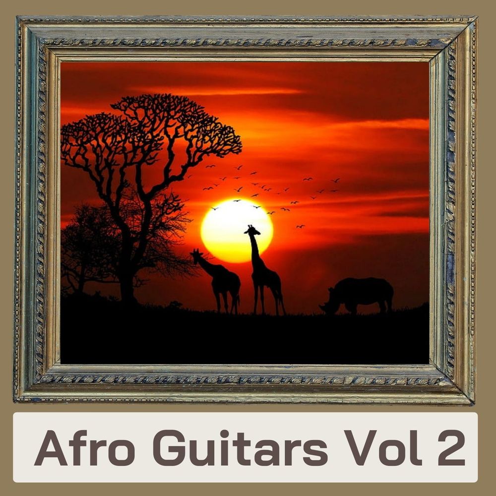 Afro Guitars Vol 2 Sample Pack | LANDR Samples