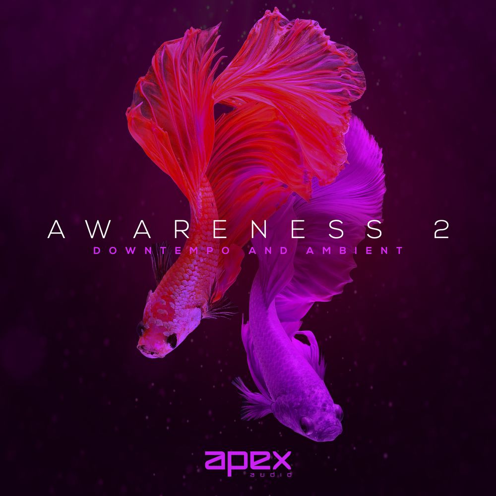 Awareness 2 - Downtempo & Ambient Sample Pack | LANDR Samples
