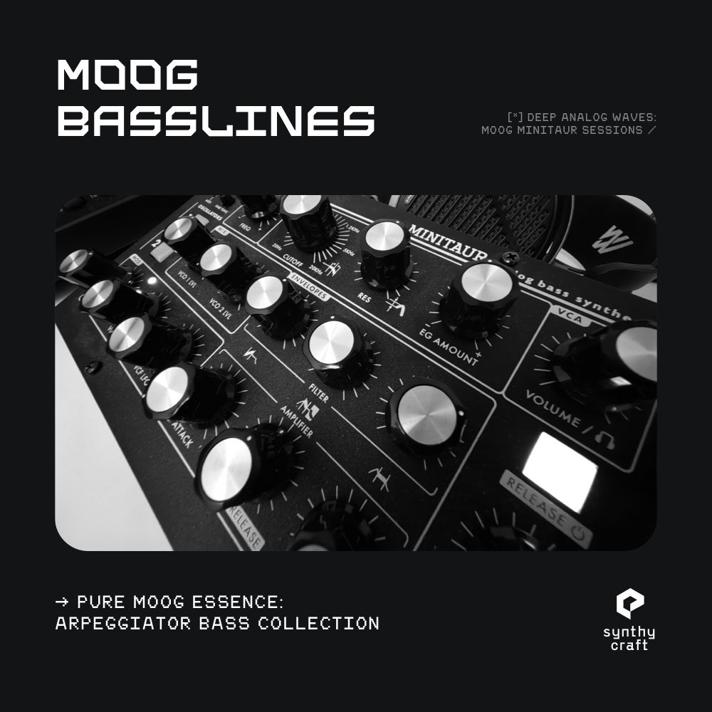 Moog Basslines - Arpeggiated Rhythms Sample Pack | LANDR Samples