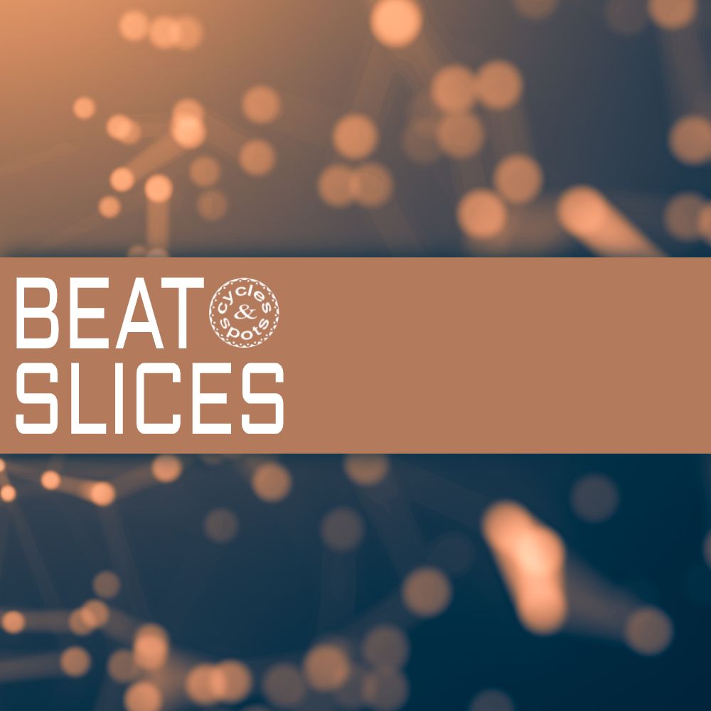 Beat Slices Sample Pack | LANDR Samples