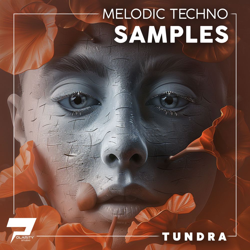Tundra [Melodic Techno Samples] Sample Pack | LANDR Samples