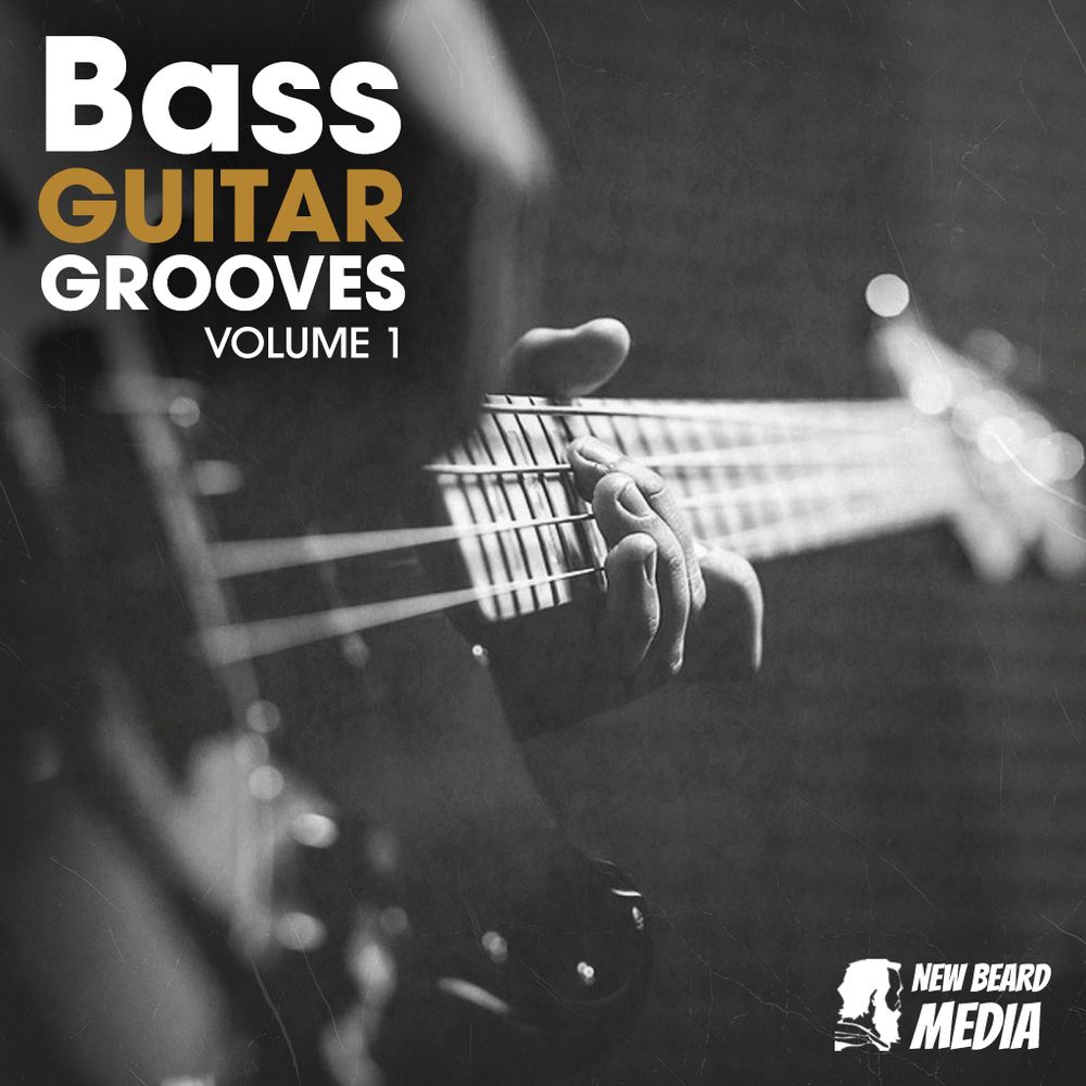 Bass Guitar Grooves Vol 1 Sample Pack | LANDR Samples