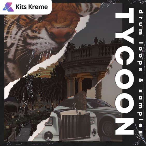 Tycoon Sample Pack | LANDR Samples