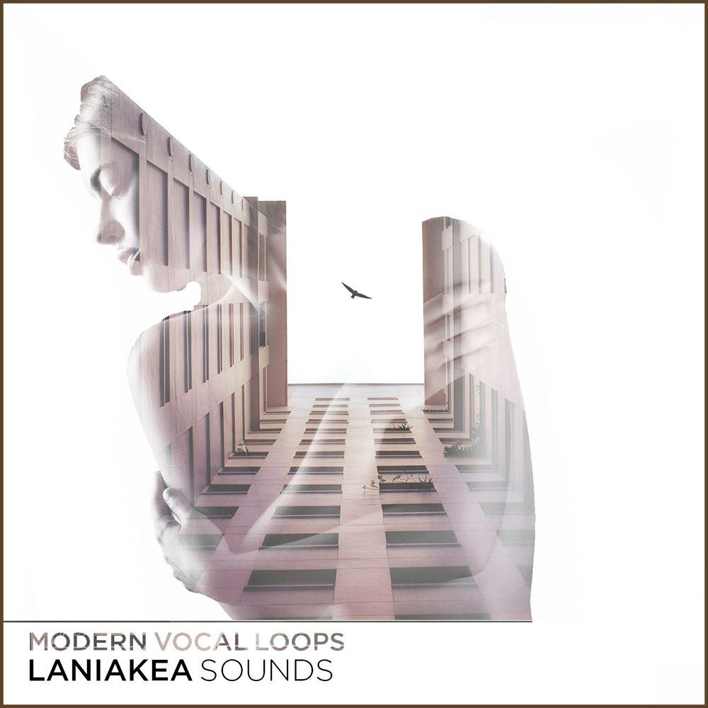 Modern Vocal Loops Sample Pack | LANDR Samples