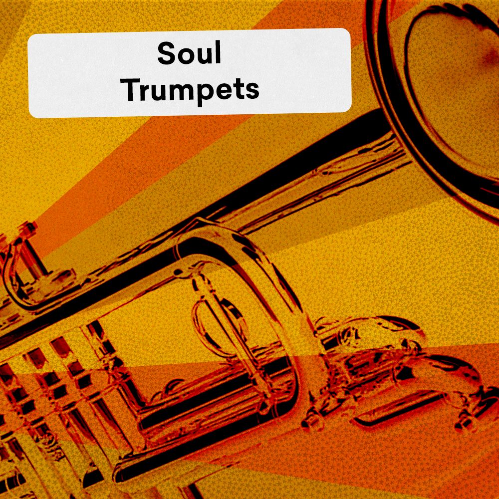 Soul Trumpets Sample Pack | LANDR Samples