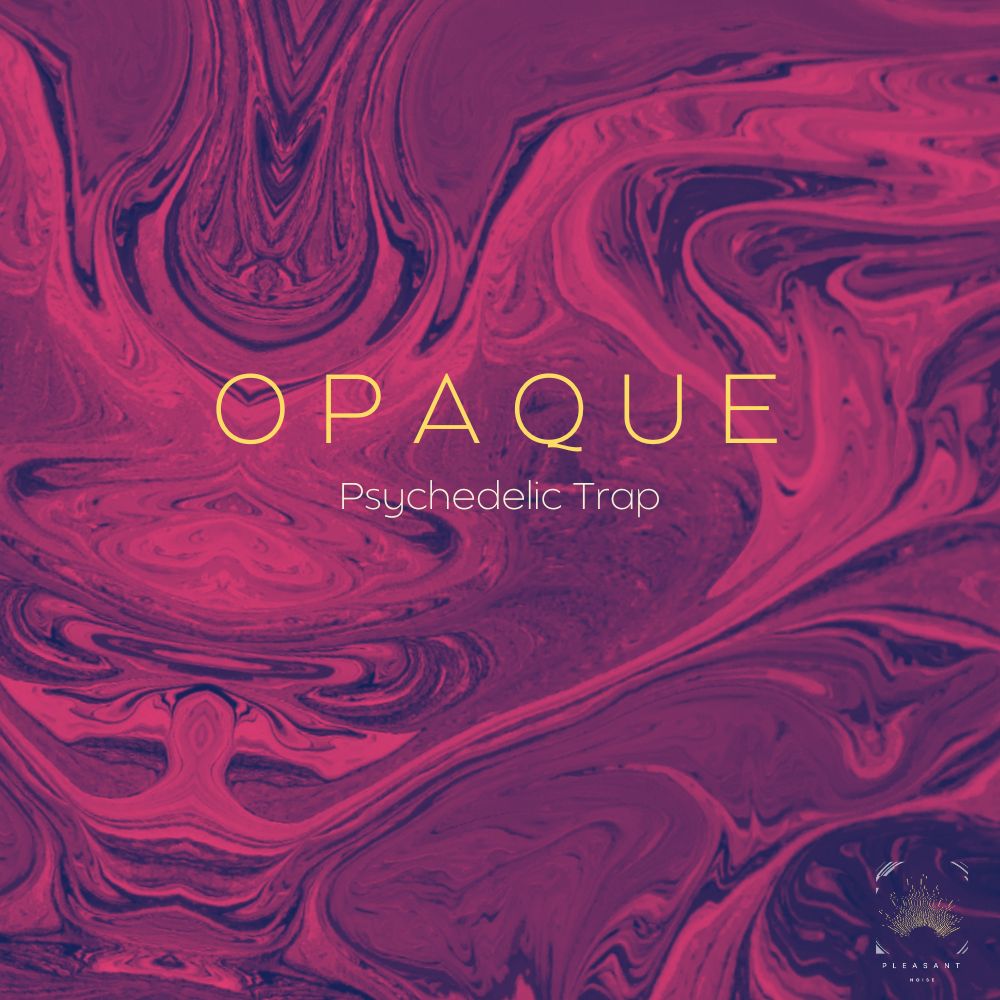 Opaque Sample Pack by Pleasant Noise | LANDR Samples