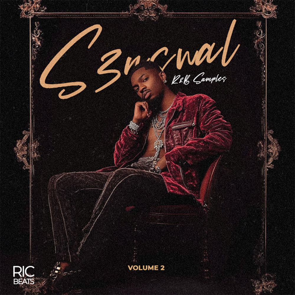 Sensual Vol 2 - RnB Sample Pack Sample Pack | LANDR Samples
