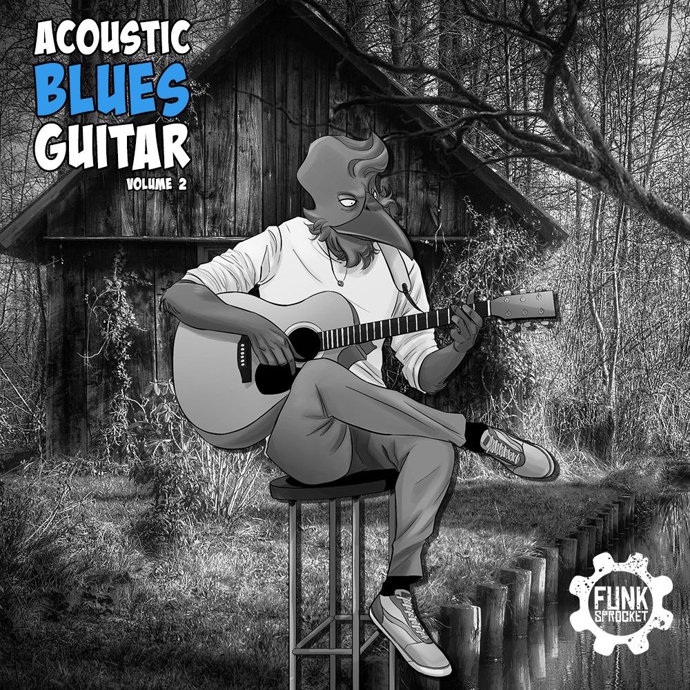 Acoustic Blues Guitar Vol 2 Sample Pack | LANDR Samples