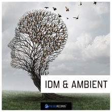 IDM & Ambient Sample Pack | LANDR