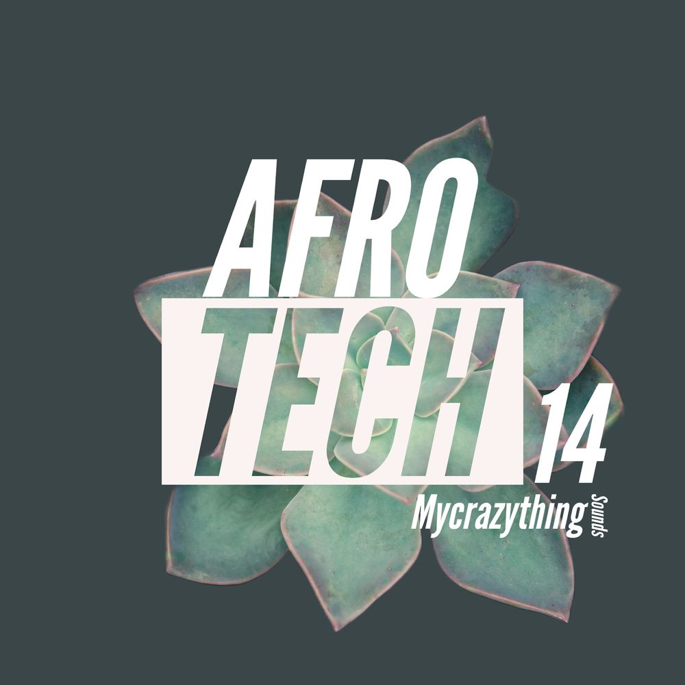 Afro Tech 14 Sample Pack | LANDR Samples