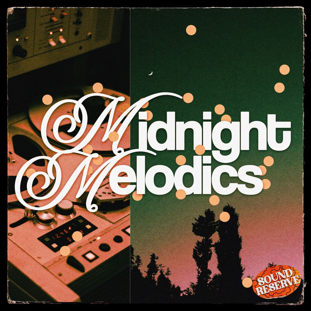 Midnight Melodics (Vinyl Samples) Sample Pack | LANDR Samples