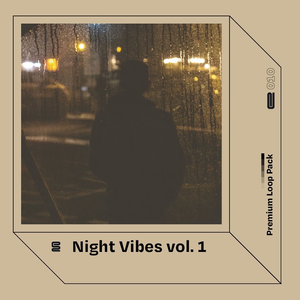 Night Vibes Vol. 1 Pack de Samples | LANDR Samples