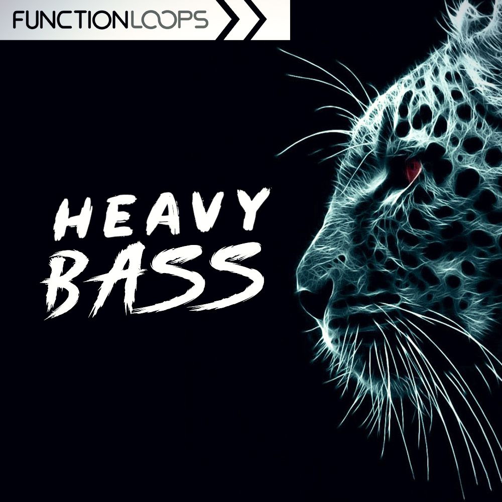 Heavy Bass Sample Pack | LANDR Samples