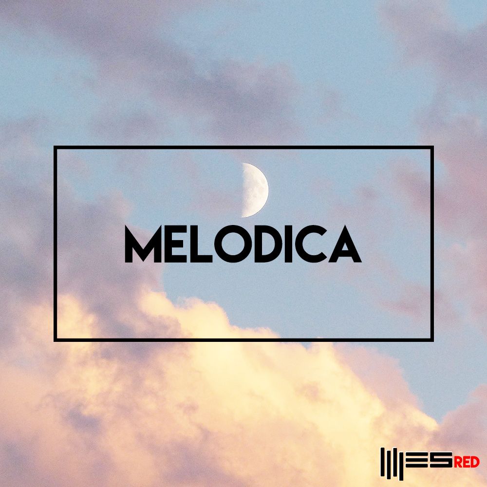 Melodica 샘플 팩 | LANDR Samples