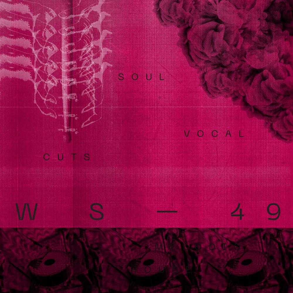 Soul Vocal Cuts Sample Pack | LANDR Samples