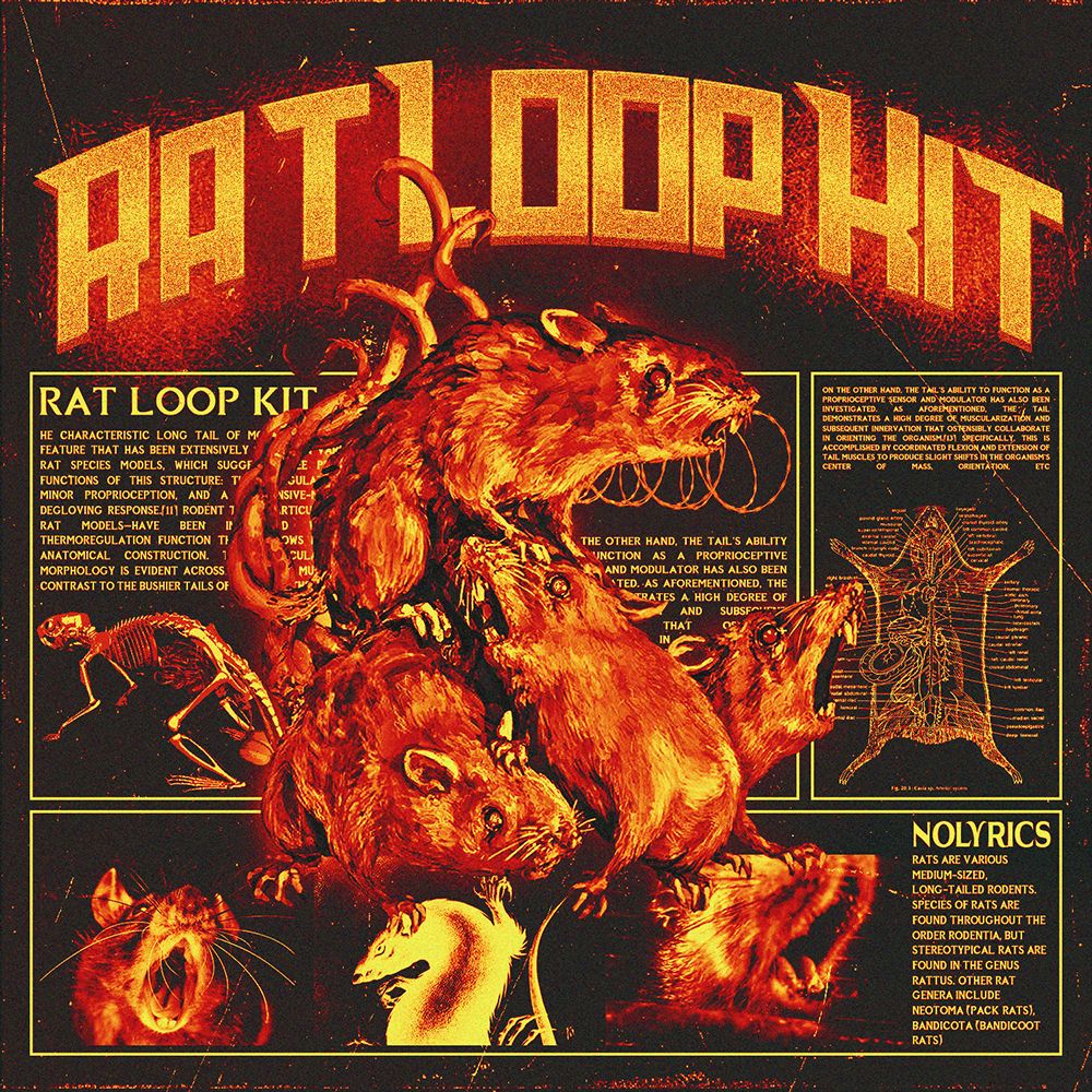 Rat Loop Kit + One Shots Sample Pack | LANDR Samples