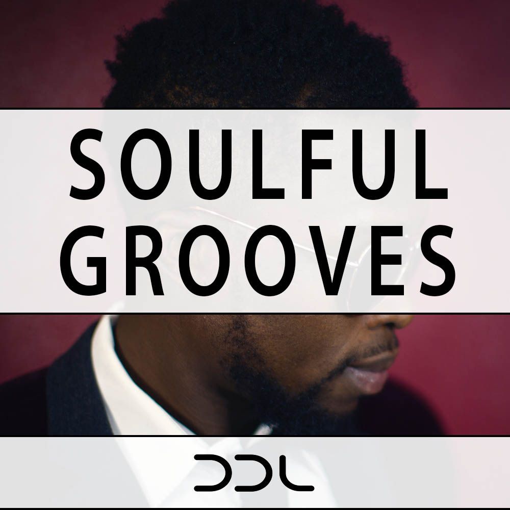 Soulful Grooves Sample Pack | LANDR Samples