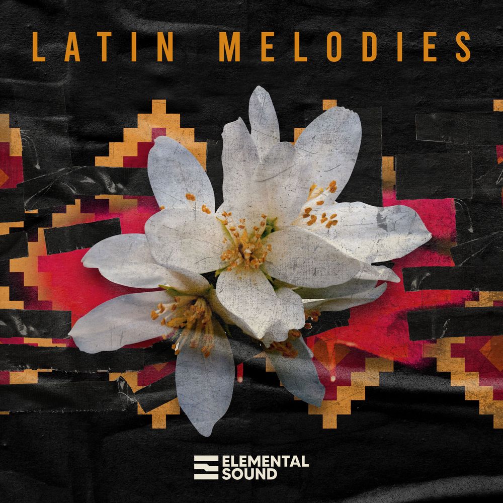 Latin Melodies Sample Pack | LANDR Samples