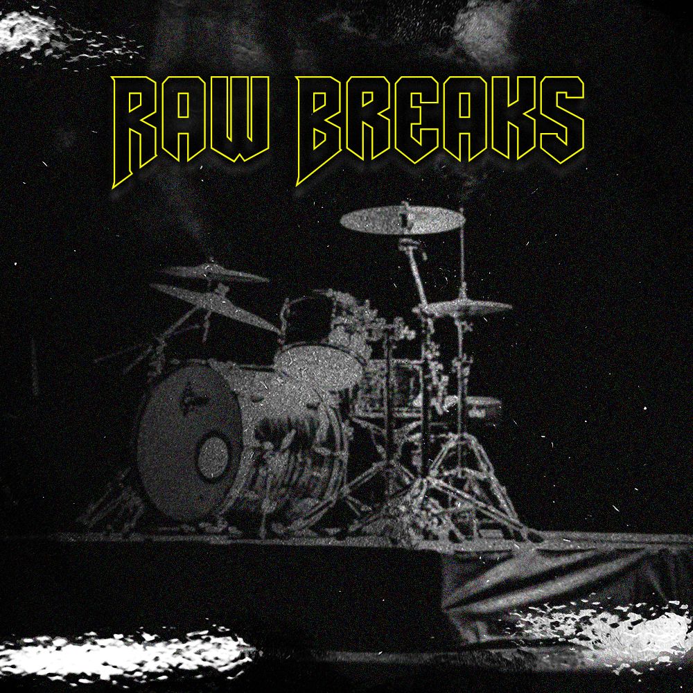 RAW BREAKS Sample Pack | LANDR Samples