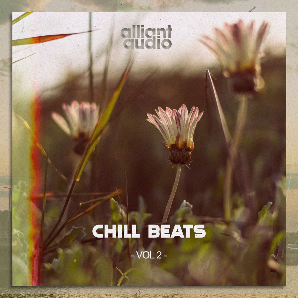 Chill Beats Vol.2 Sample Pack | LANDR Samples