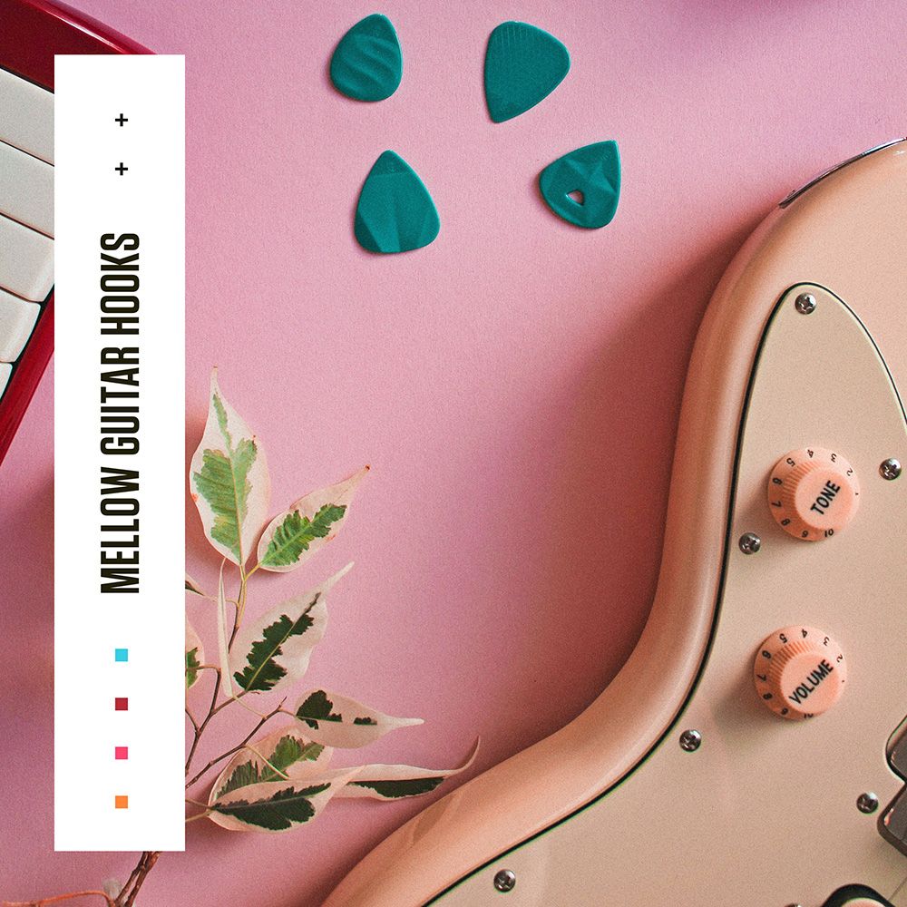 Mellow Guitar Hooks Sample Pack | LANDR Samples
