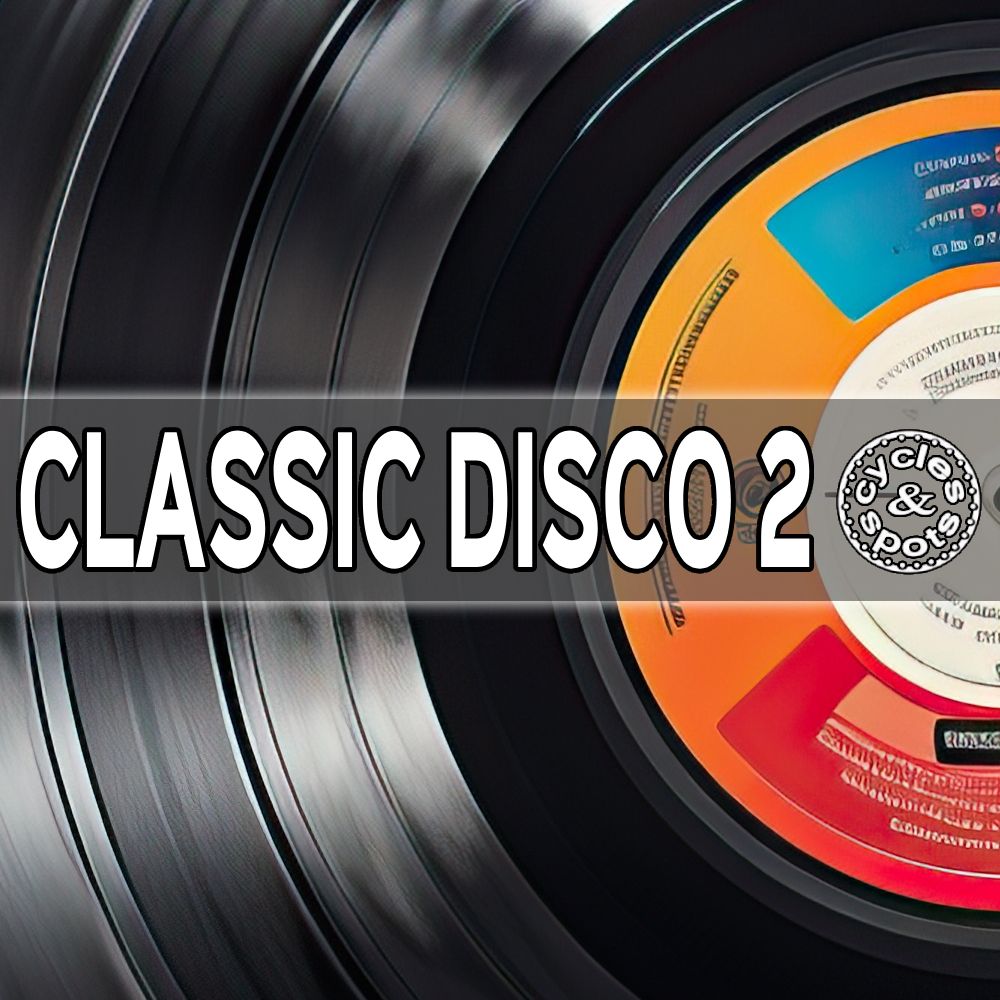 Classic Disco 2 Sample Pack | LANDR Samples