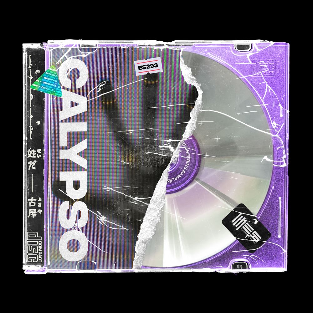 Calypso Sample Pack | LANDR Samples