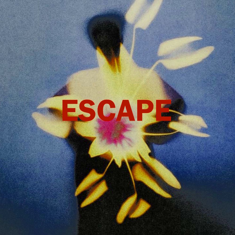 Escape Sample Pack | LANDR Samples