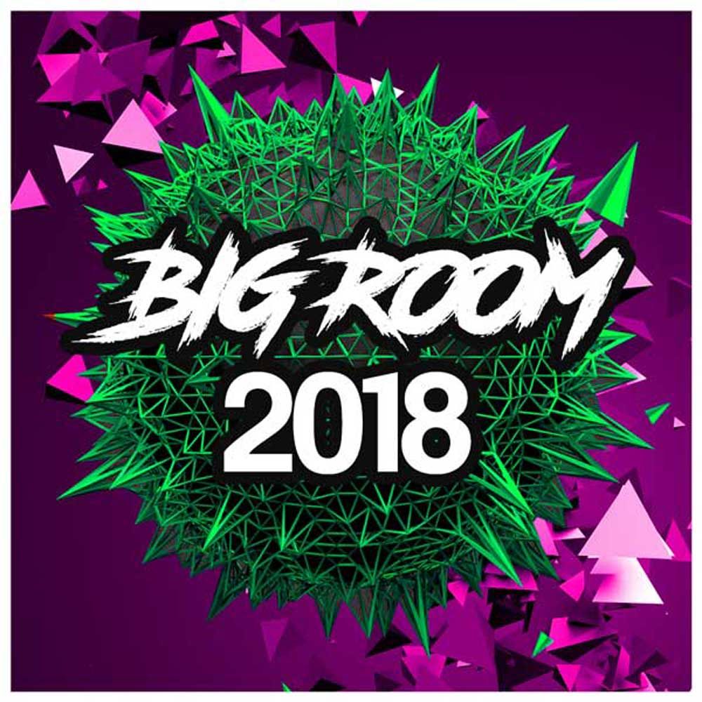 Big Sounds Big Room 2018 Sample Pack | LANDR Samples
