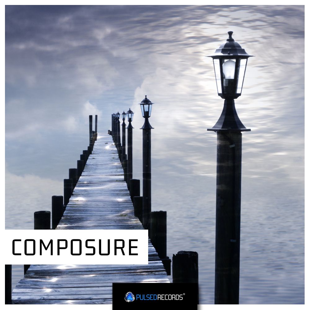 Composure Sample Pack | LANDR Samples