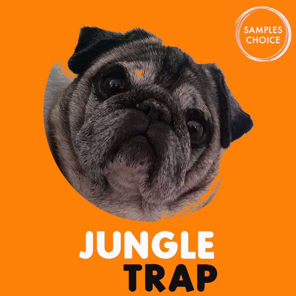 Jungle Trap Sample Pack | LANDR Samples