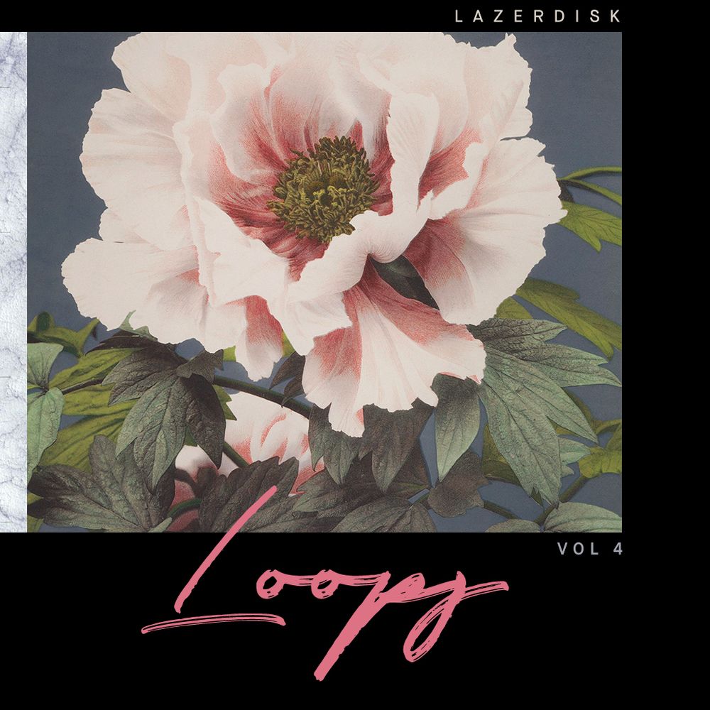 Lazerdisk Loops Vol. 4 Sample Pack | LANDR Samples