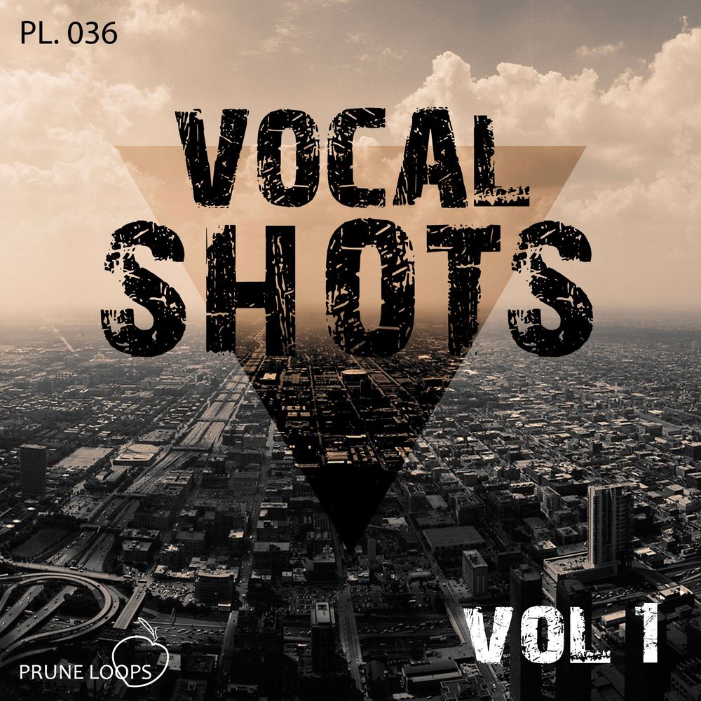 Vocal Shots Vol 1 Sample Pack | LANDR Samples