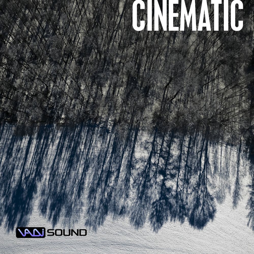 Cinematic Series Vol.1 Sample Pack | LANDR Samples
